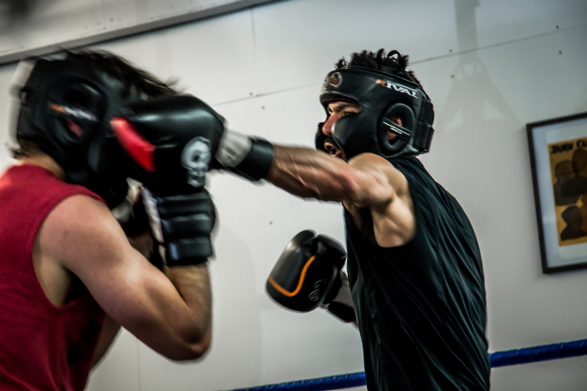 Universal Boxing Club – Official Website